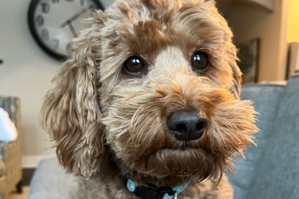 JetCo | Unpacking the Best Packaging Engineering Team